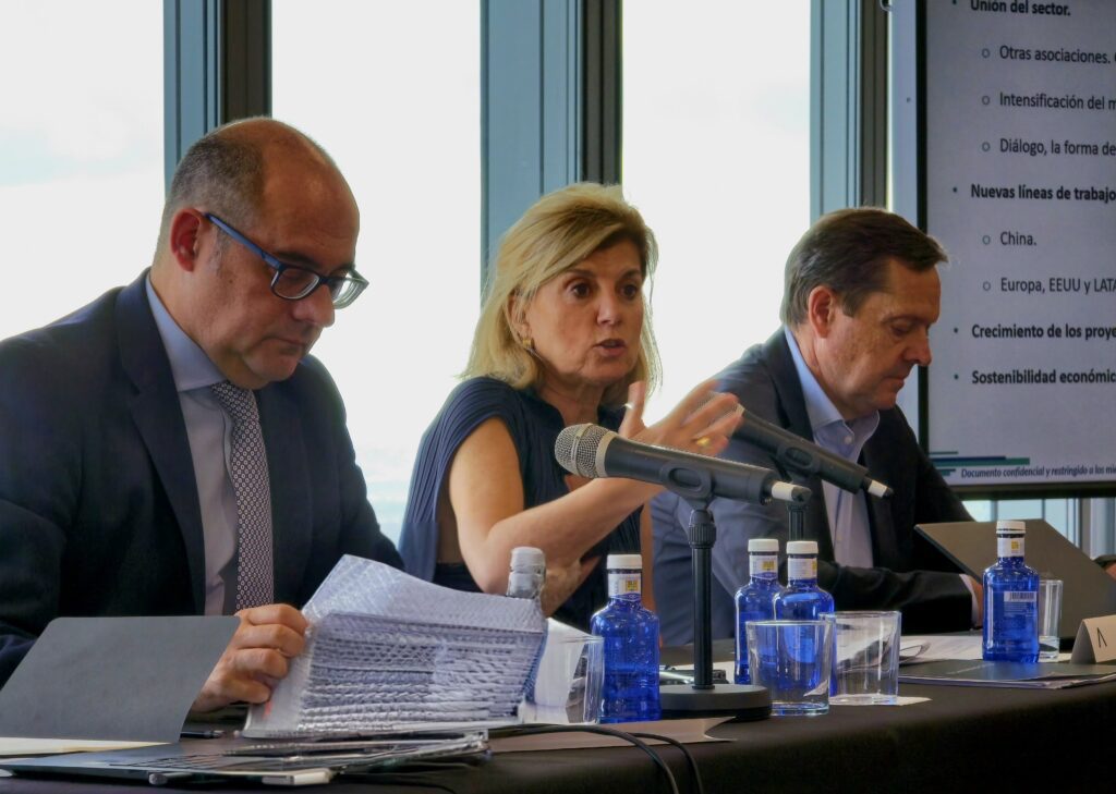 Faconauto: “España está preparada para que el 25% de las ...